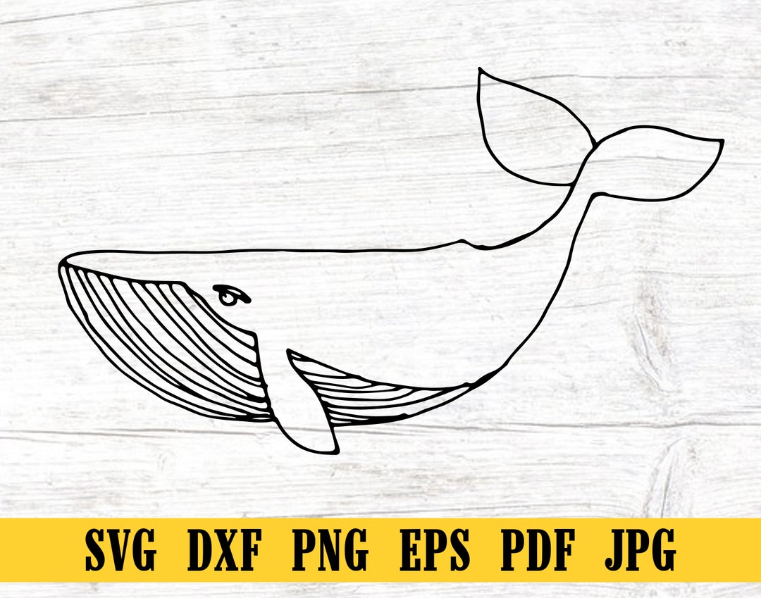 Fin Whale Svg, Whale Cut File, Whale Png, Whale Silhouette. Svg Pdf Eps ...