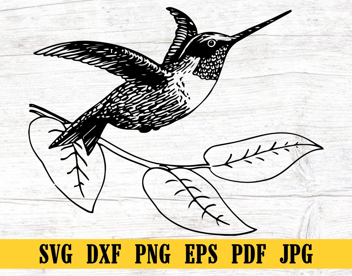 Hummingbird SVG, Hummingbird Cut File, Hummingbird DXF, Hummingbird PNG ...