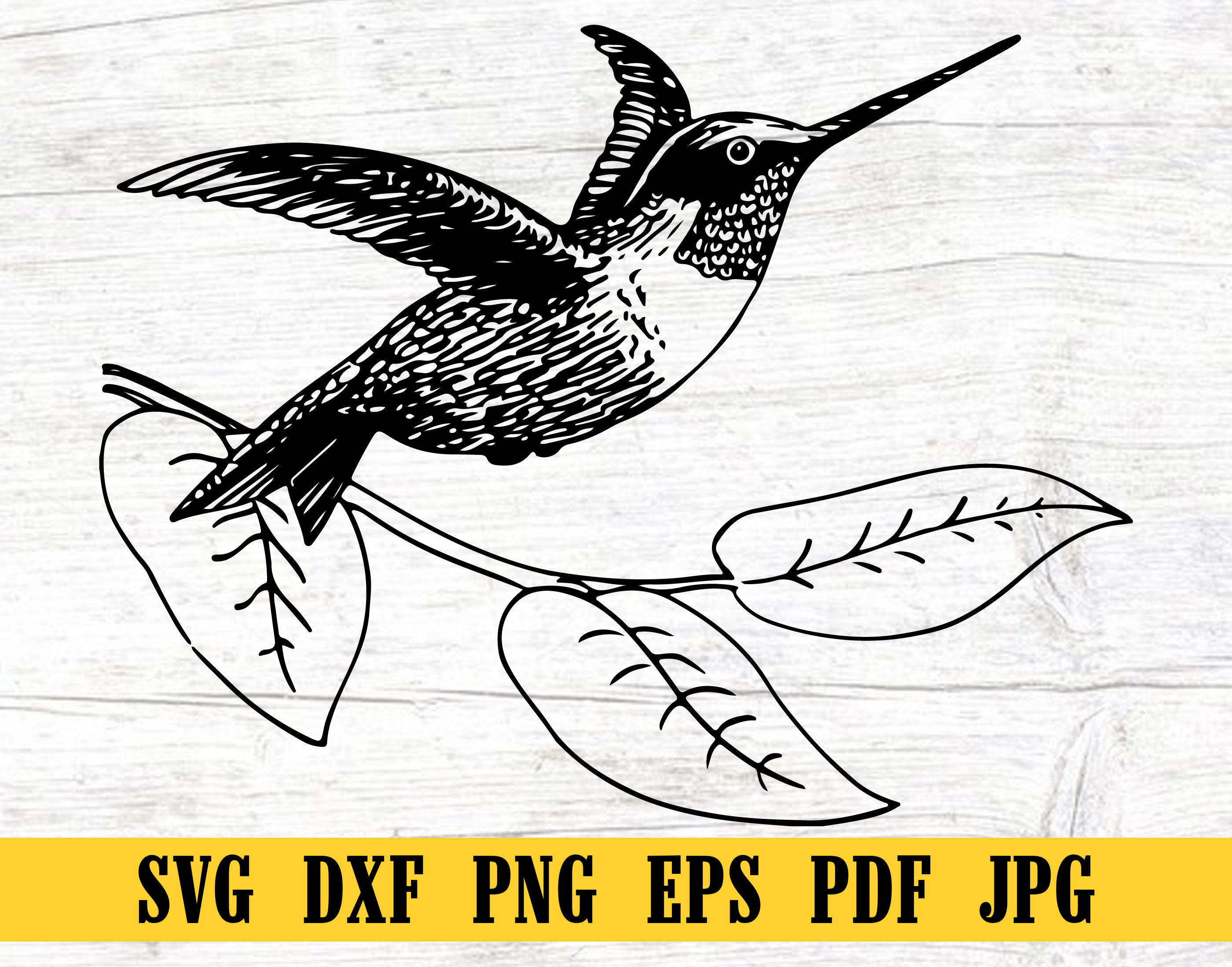 Hummingbird SVG, Hummingbird Cut File, Hummingbird DXF, Hummingbird PNG ...