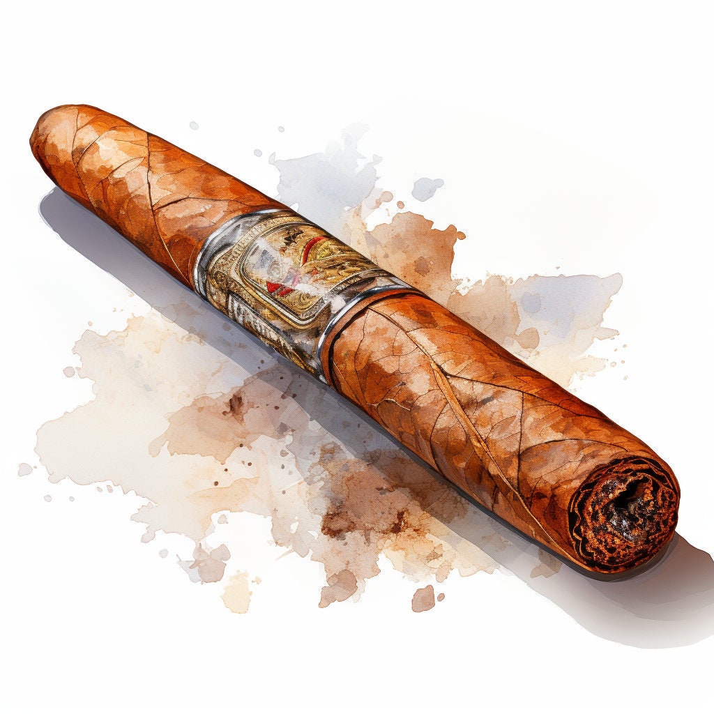 Watercolor Cartoon Style Cigar Clipart - Etsy
