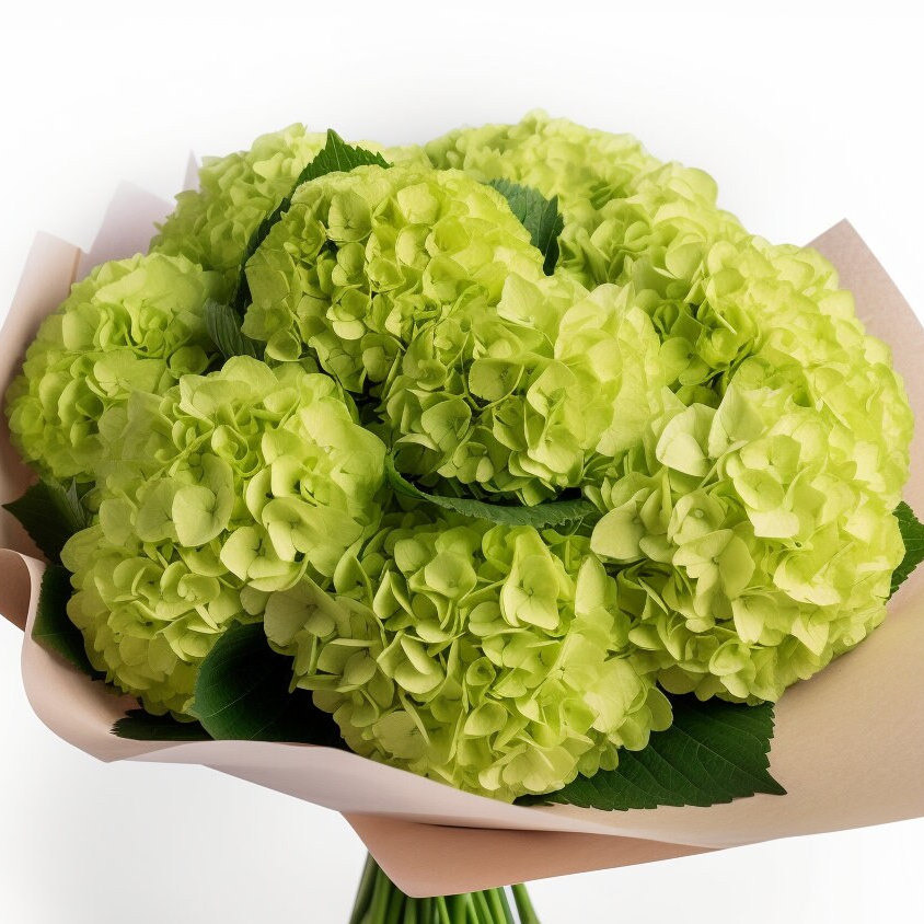 Mini Green Hydrangea Bouquets