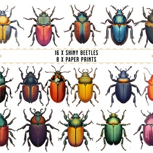 16 PNG X Jewel Beetle Mixed Media Beetle Bugs , 8 Printable Sheets, CU ...