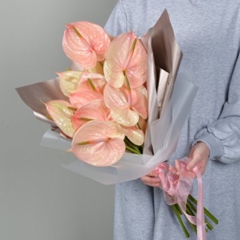 10 X Stems Fresh Cut Pink Peach Anthurium Flowers Bouquet - Etsy