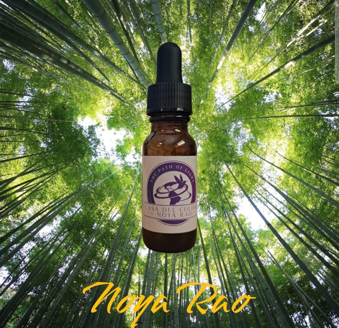 Noya Rao MV Synergy RARE Authentic - Etsy