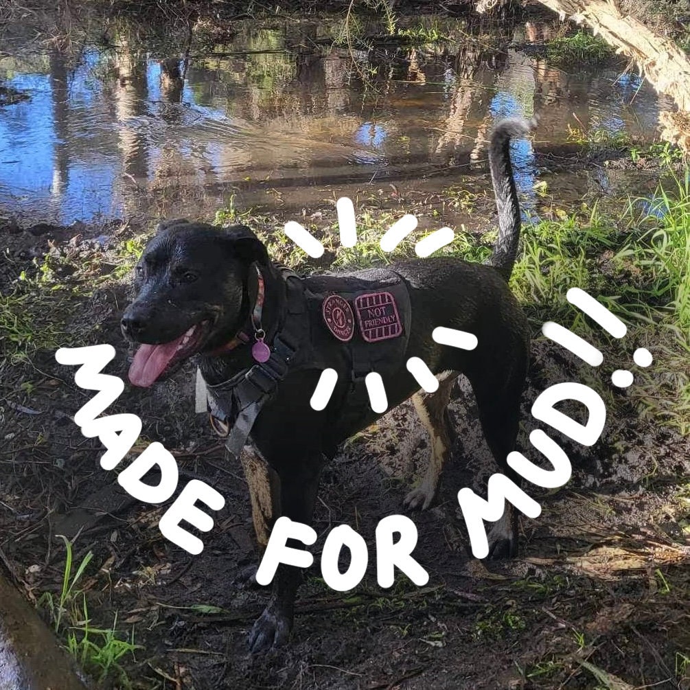 MUZZLED for My SAFETY Reactive Dog Velcro Patch - Etsy