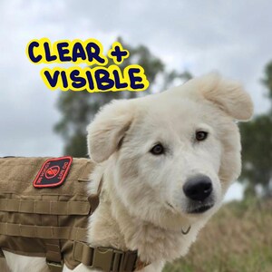 DO NOT TOUCH Reactive Dog Velcro Patch - Etsy