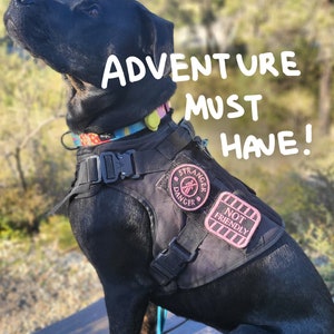 DO NOT TOUCH Reactive Dog Velcro Patch - Etsy Australia