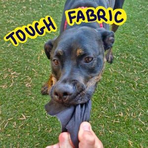 DO NOT TOUCH Reactive Dog Velcro Patch - Etsy