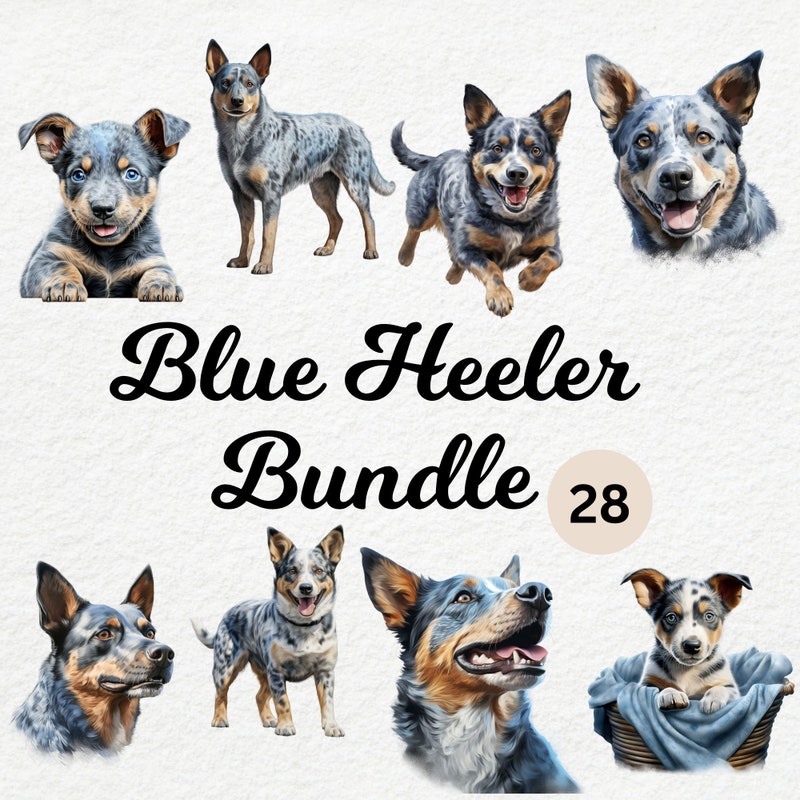 Blue Heeler - Etsy