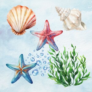 Watercolor Cute Sea Animals Clipart Bundle, Underwater Ocean PNG Set ...