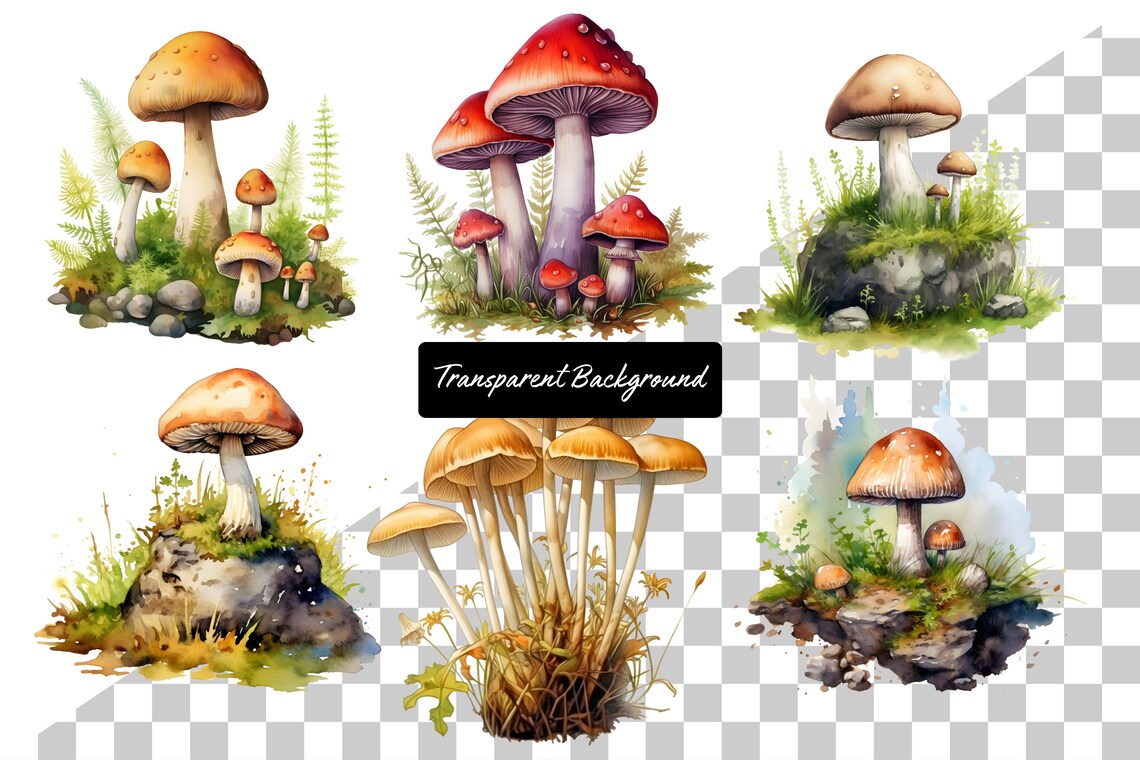 Watercolor Mushrooms Clipart, Watercolor Forest Nature Clipart PNG ...