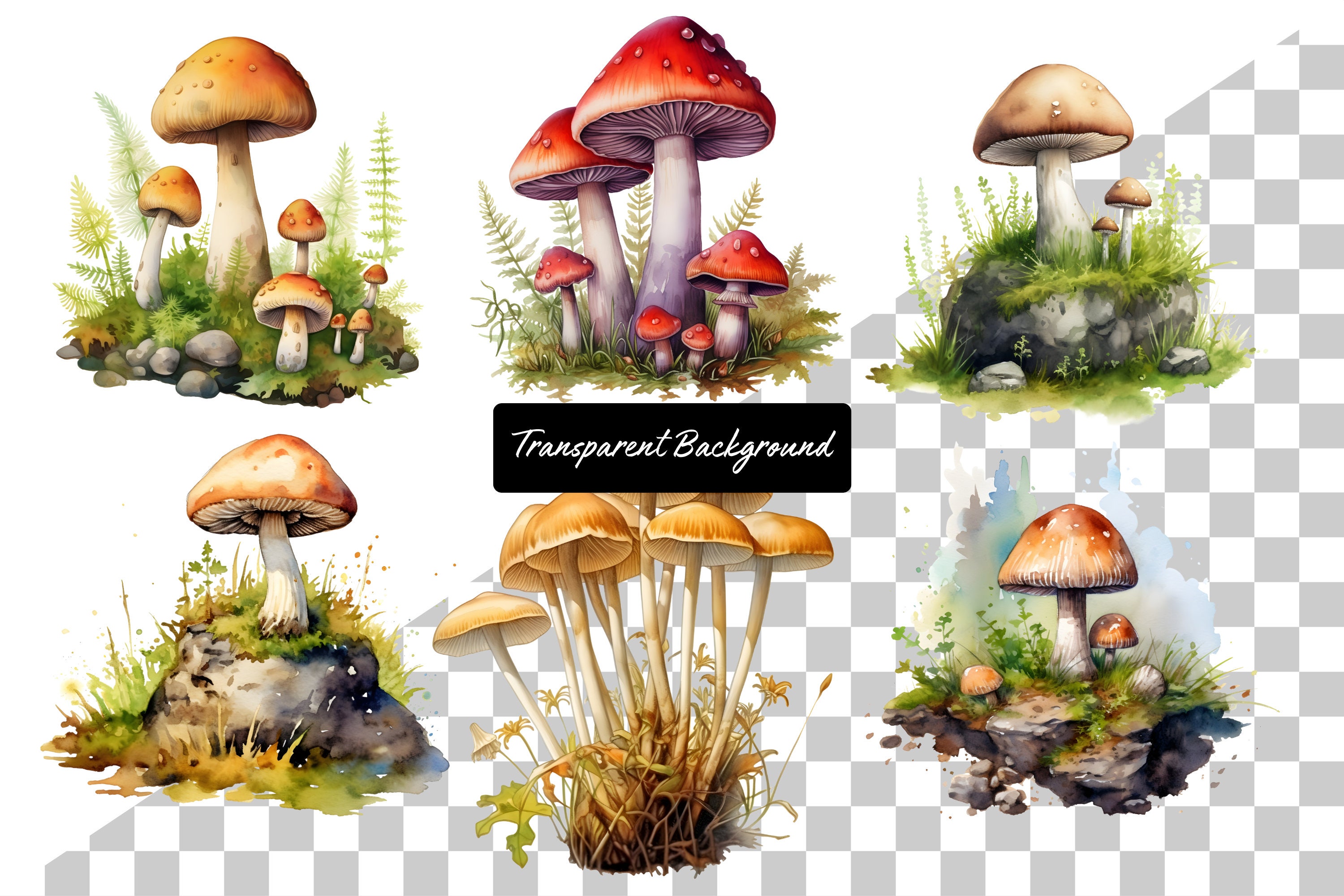 Watercolor Mushrooms Clipart, Watercolor Forest Nature Clipart PNG ...