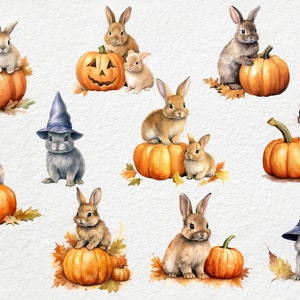 Watercolor Halloween Rabbits Clipart Fall Halloween Pumpkins - Etsy