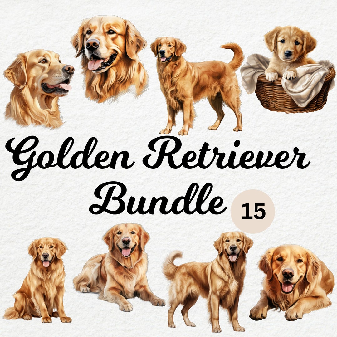 Golden Retriever Bundle Clipart, Dog Portrait, Watercolor Dog, Puppy ...