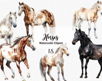 Watercolor Horse Bundle Clipart PNG Commercial Use Instant Download ...