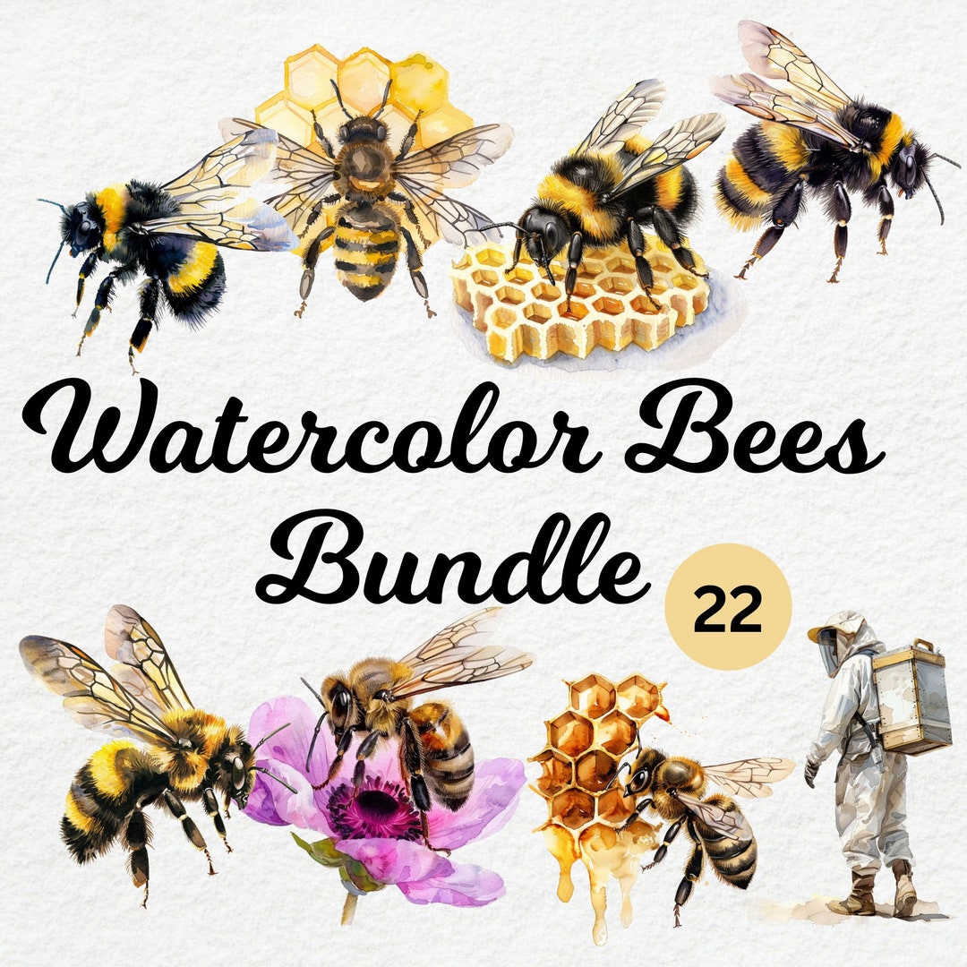 Watercolor Honeybee Clipart Bundle, Honey Jar, Bumblebee Clip Art PNG ...