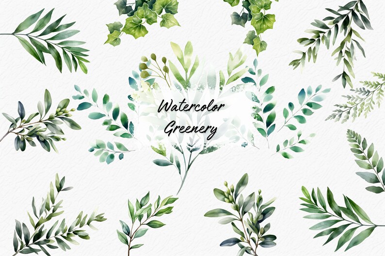 Greenery Watercolor Clipart, Leaves Branches Clipart, Wedding Clipart ...
