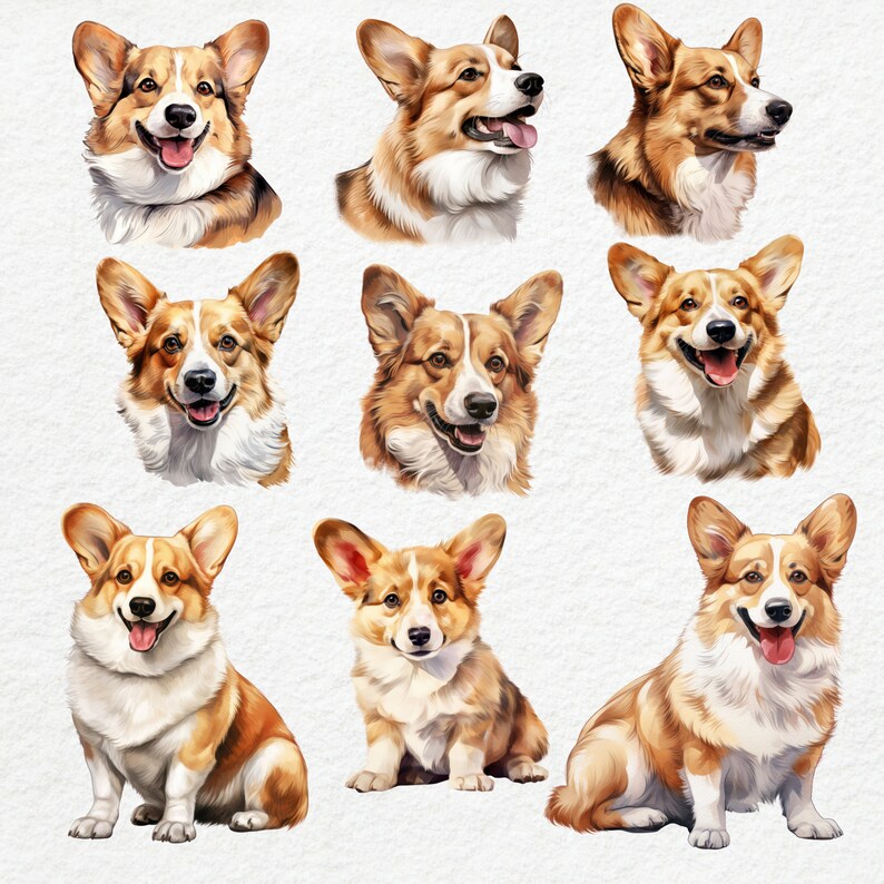 Corgi Puppies Clipart Collection, Welsh Corgi Pembroke PNG, Corgi Baby ...