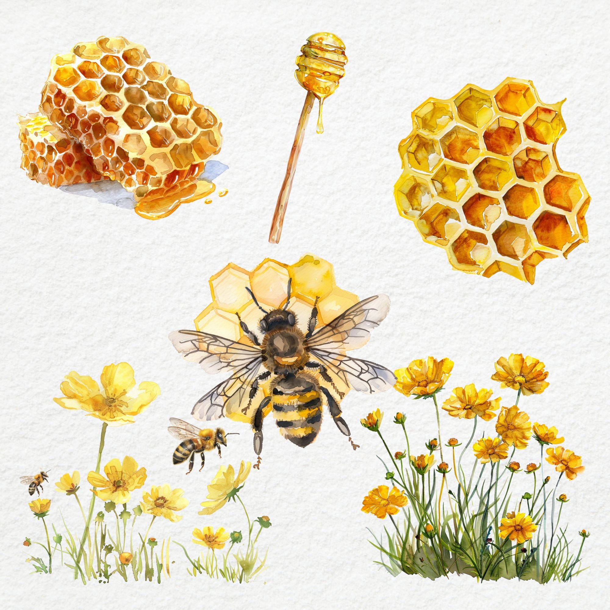 Watercolor Honeybee Clipart Bundle, Honey Jar, Bumblebee Clip Art PNG ...