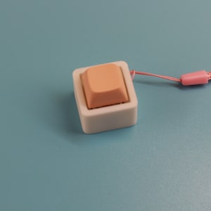 Mechanical Keyboard Fidget 1 Key, Keyboard MX Switch, Satisfying Fidget ...