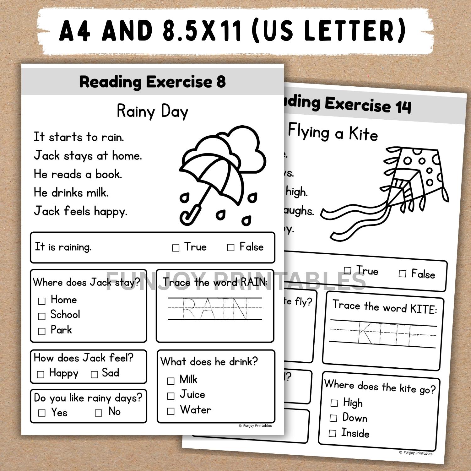 Kindergarten Grade 1 Reading Comprehension Worksheets (PDF Download) - Etsy