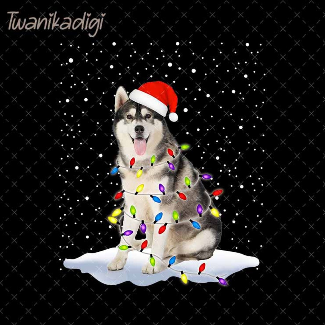 Husky Christmas Lights Png, Husky Christmas Png, Husky With Santa Hat ...