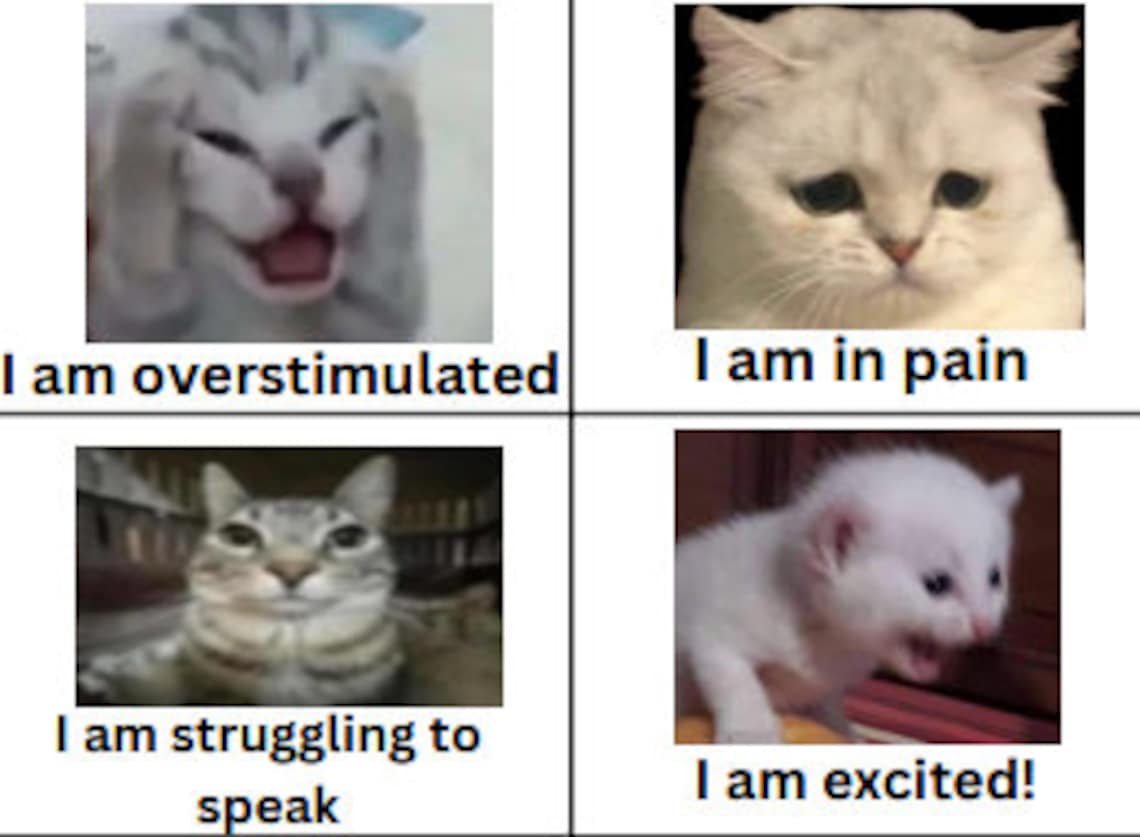 Cat Communication Cards 54pc Nonverbal Aid AAC for Autism ...