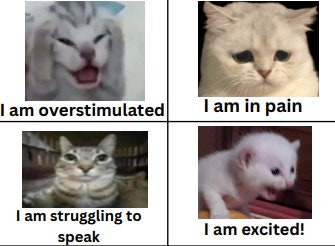 Cat Communication Cards 54pc Nonverbal Aid AAC for Autism ...