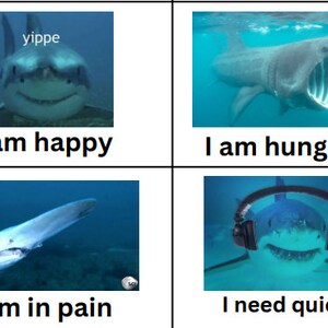 Shark Communication Cards Nonverbal Aid AAC for Autism, Neurodiversity ...