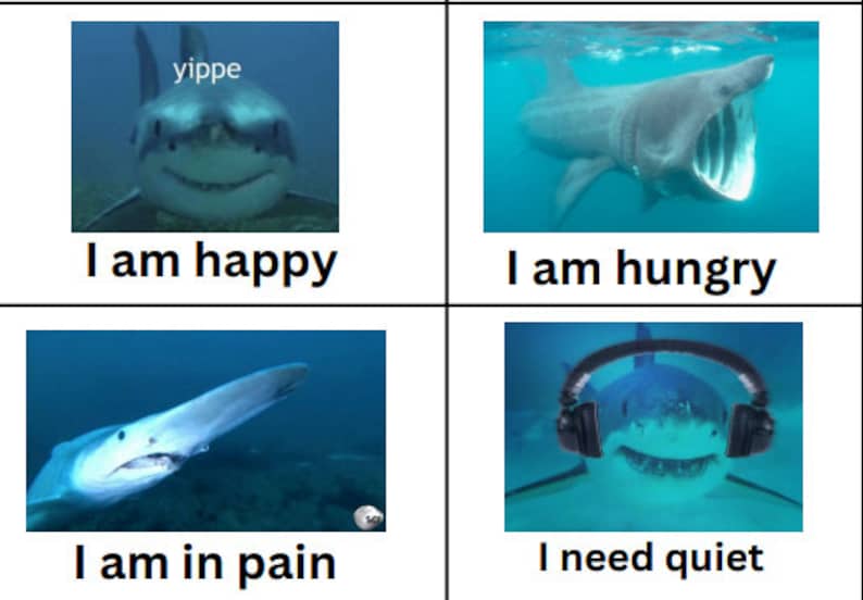 Shark Communication Cards Nonverbal Aid AAC for Autism, Neurodiversity ...