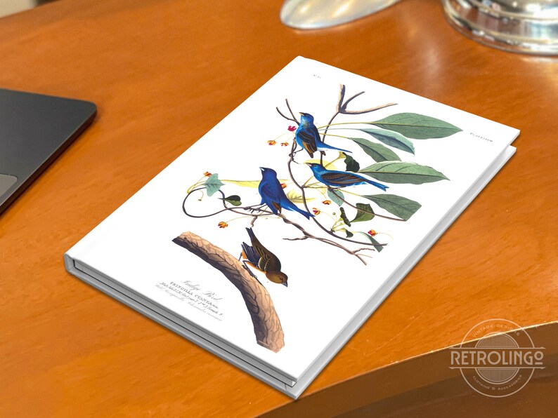 Bird Hardcover Notebook for Nature Lovers, Beautiful James Audubon Gift ...