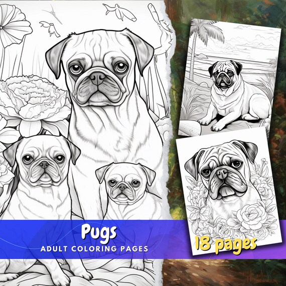 Pug Coloring Pages For Adults