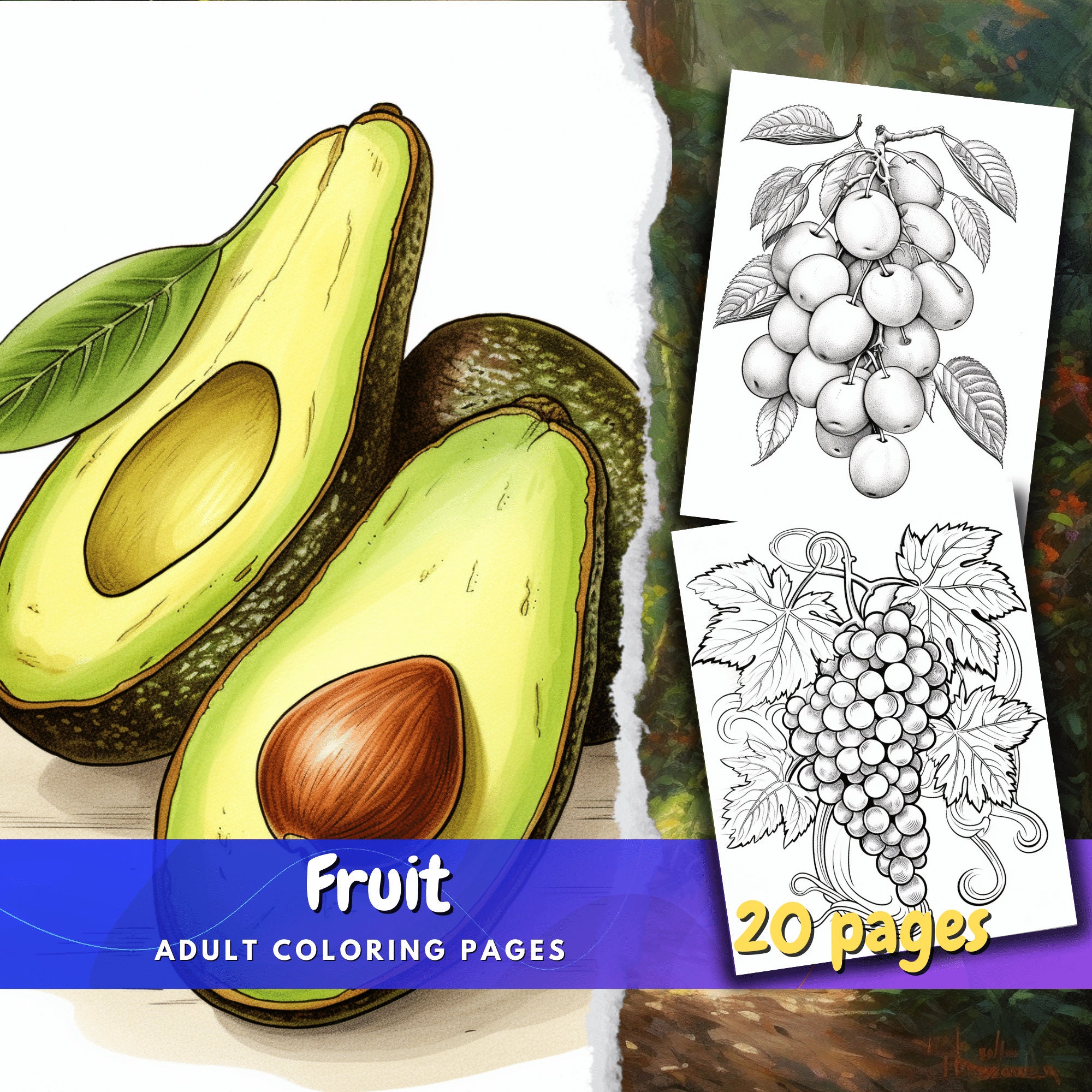Fruit Coloring Pages Feathering Avocados Apples Grapes and - Etsy