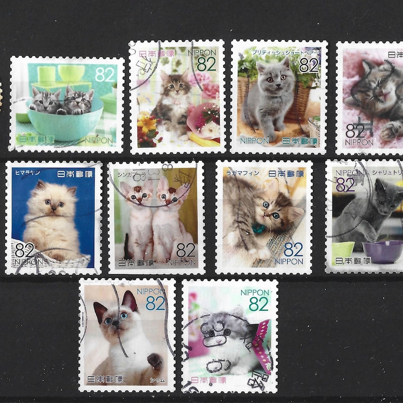 Cat Stamp - Etsy
