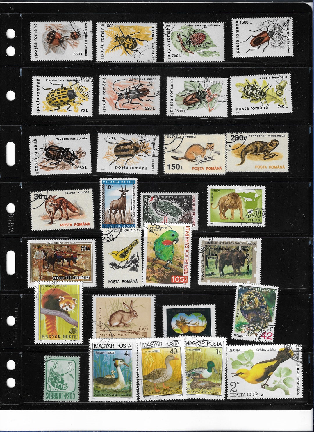 51 Worldwide Animal Postage Stamps. Stamp Collection. Fox, Duck ...