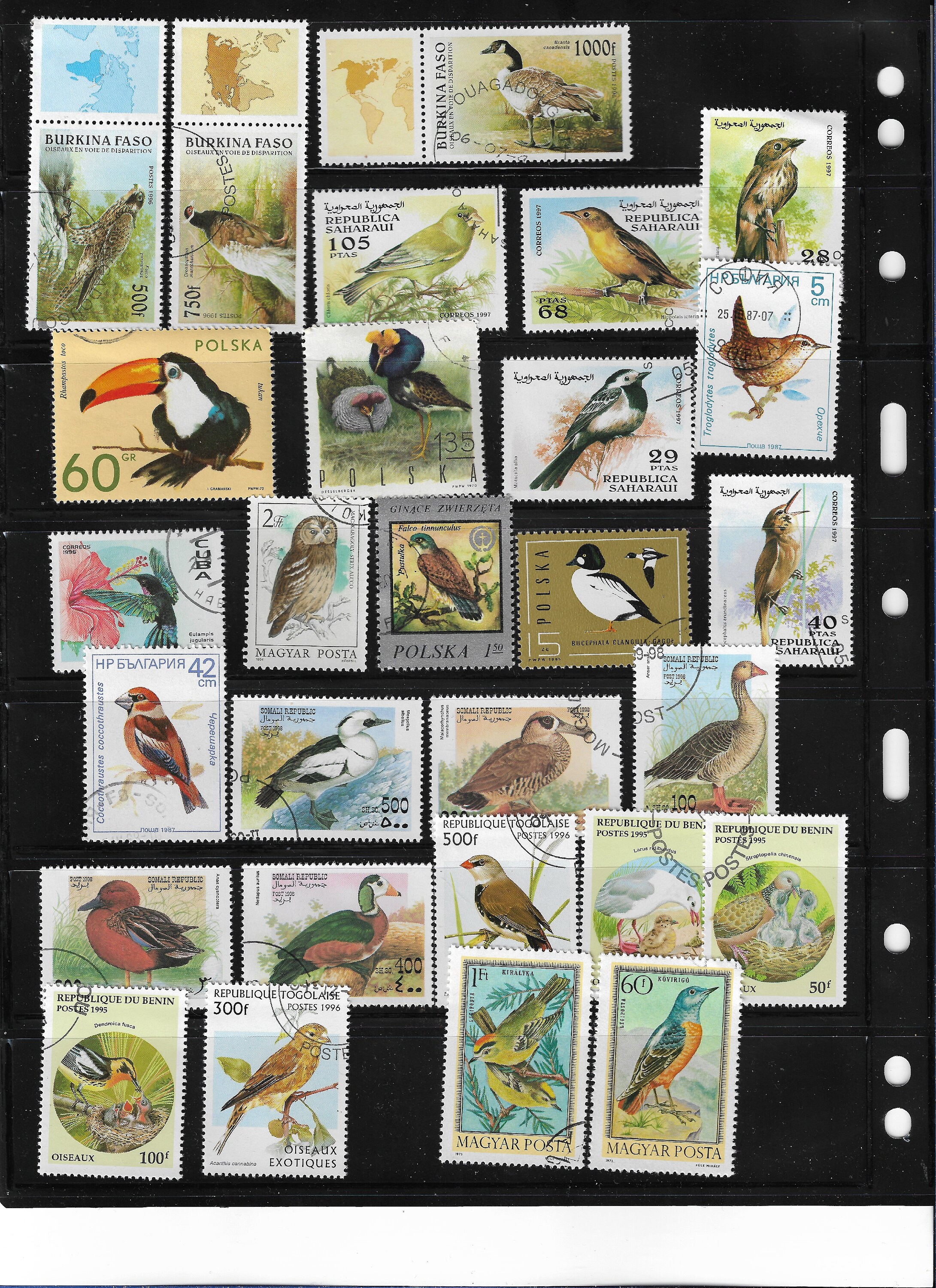 49 Worldwide Birds Postage Stamps. Stamp Collection. Hungary Haiti ...