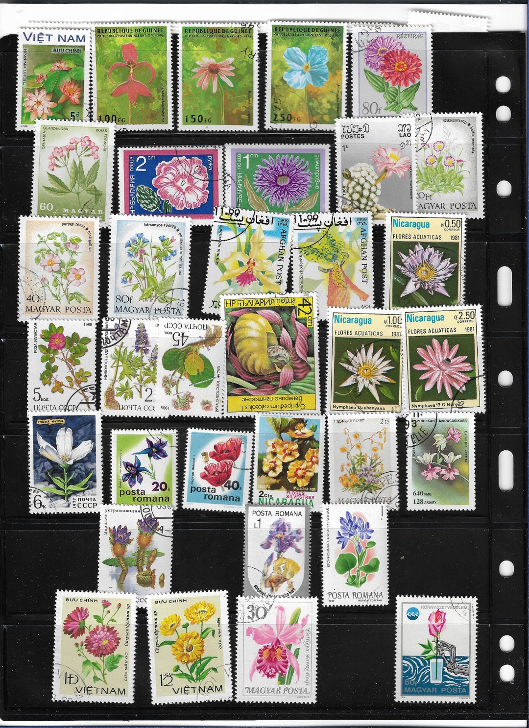 66 Worldwide Floral Postage Stamps. Stamp Collection. Flowers ...