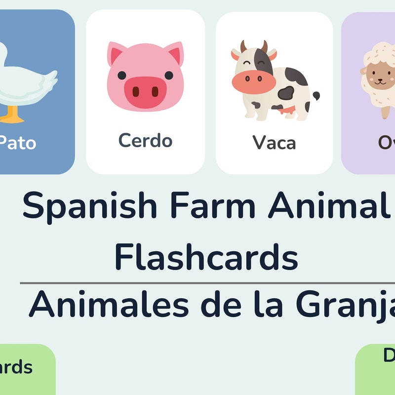 Animal Flash Cards - Etsy