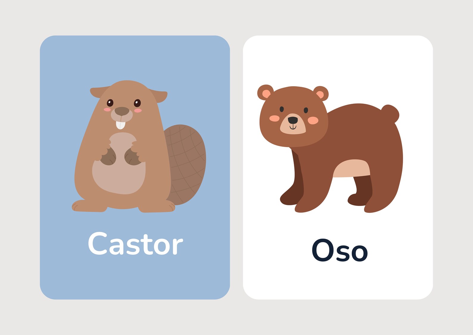 Spanish Animal Flashcards | Teach Kids Spanish | Español Learning ...