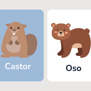 Spanish Animal Flashcards | Teach Kids Spanish | Español Learning ...
