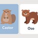 Spanish Animal Flashcards Teach Kids Spanish Español Learning Bilingual ...