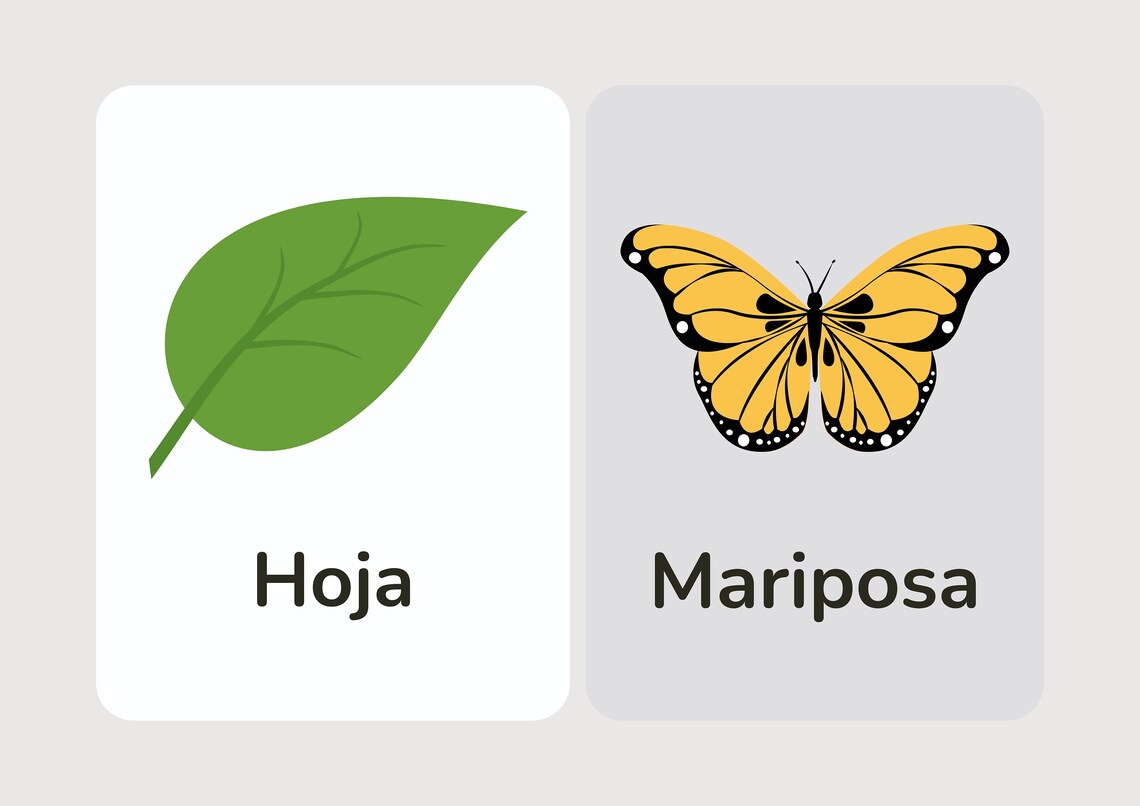 Spanish Animal Flashcards Teach Kids Spanish Español Learning Bilingual ...