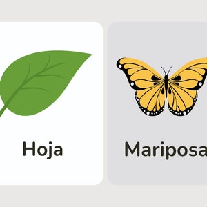 Spanish Animal Flashcards | Teach Kids Spanish | Español Learning ...