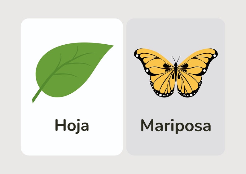 Spanish Animal Flashcards | Teach Kids Spanish | Español Learning ...