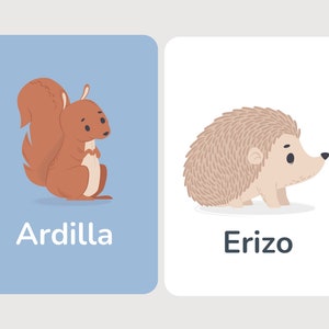 Spanish Animal Flashcards | Teach Kids Spanish | Español Learning ...