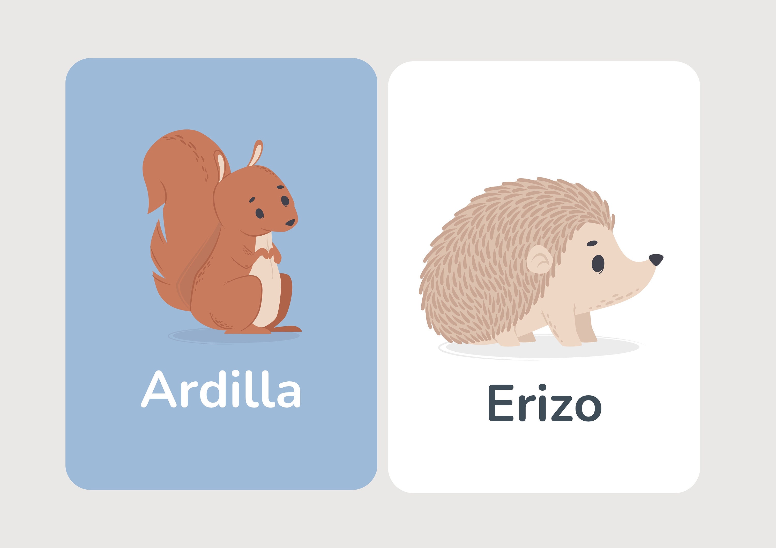 Spanish Animal Flashcards | Teach Kids Spanish | Español Learning ...