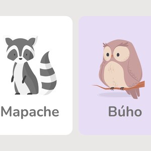 Spanish Animal Flashcards | Teach Kids Spanish | Español Learning ...