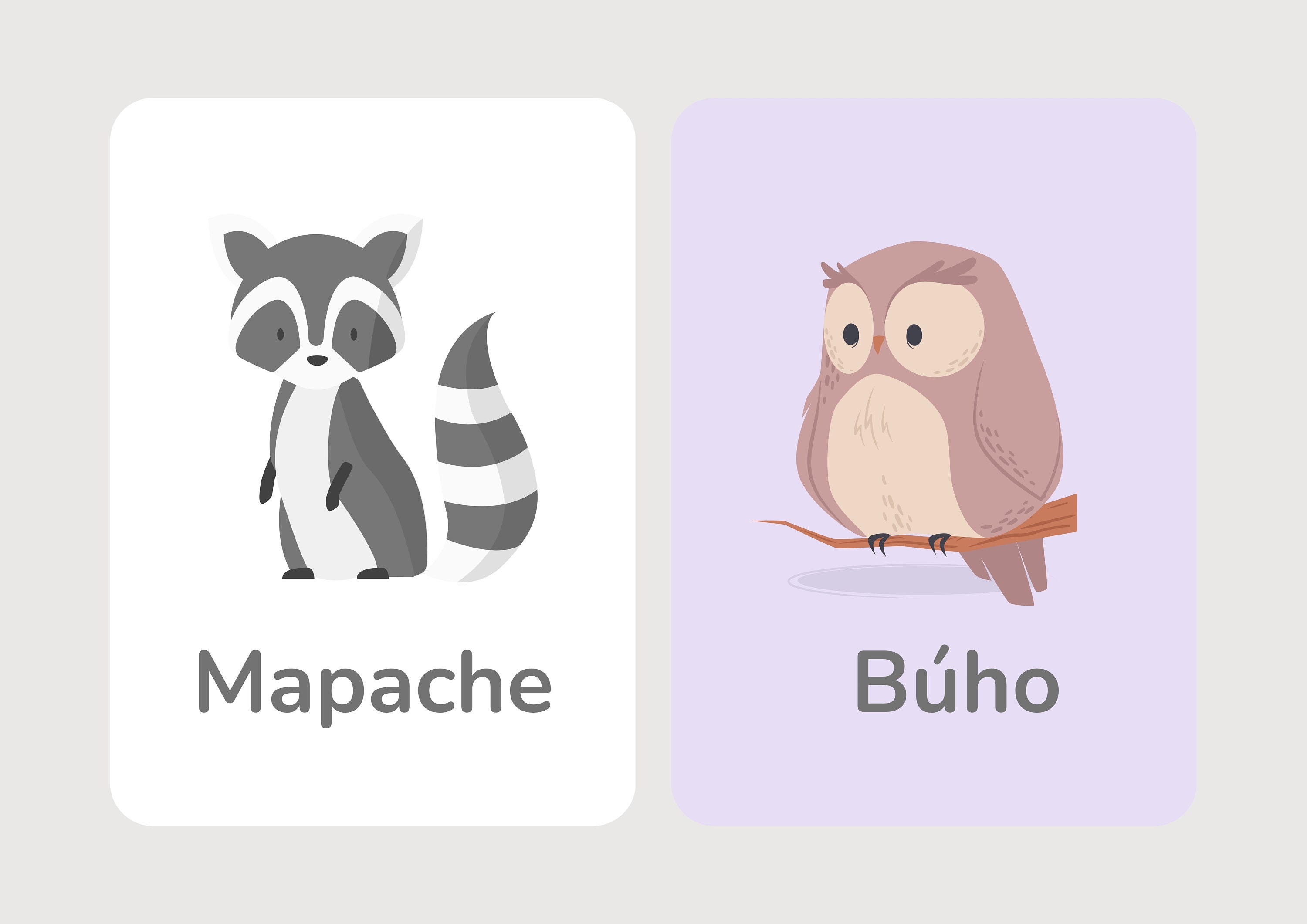 Spanish Animal Flashcards | Teach Kids Spanish | Español Learning ...