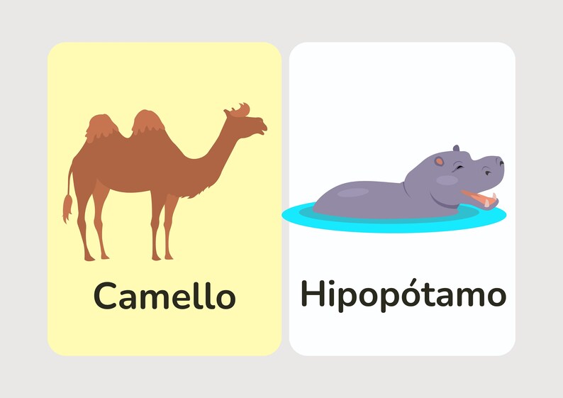 Spanish Wild Animals Flash Cards | Teach Kids Spanish | Bilingual Kids ...