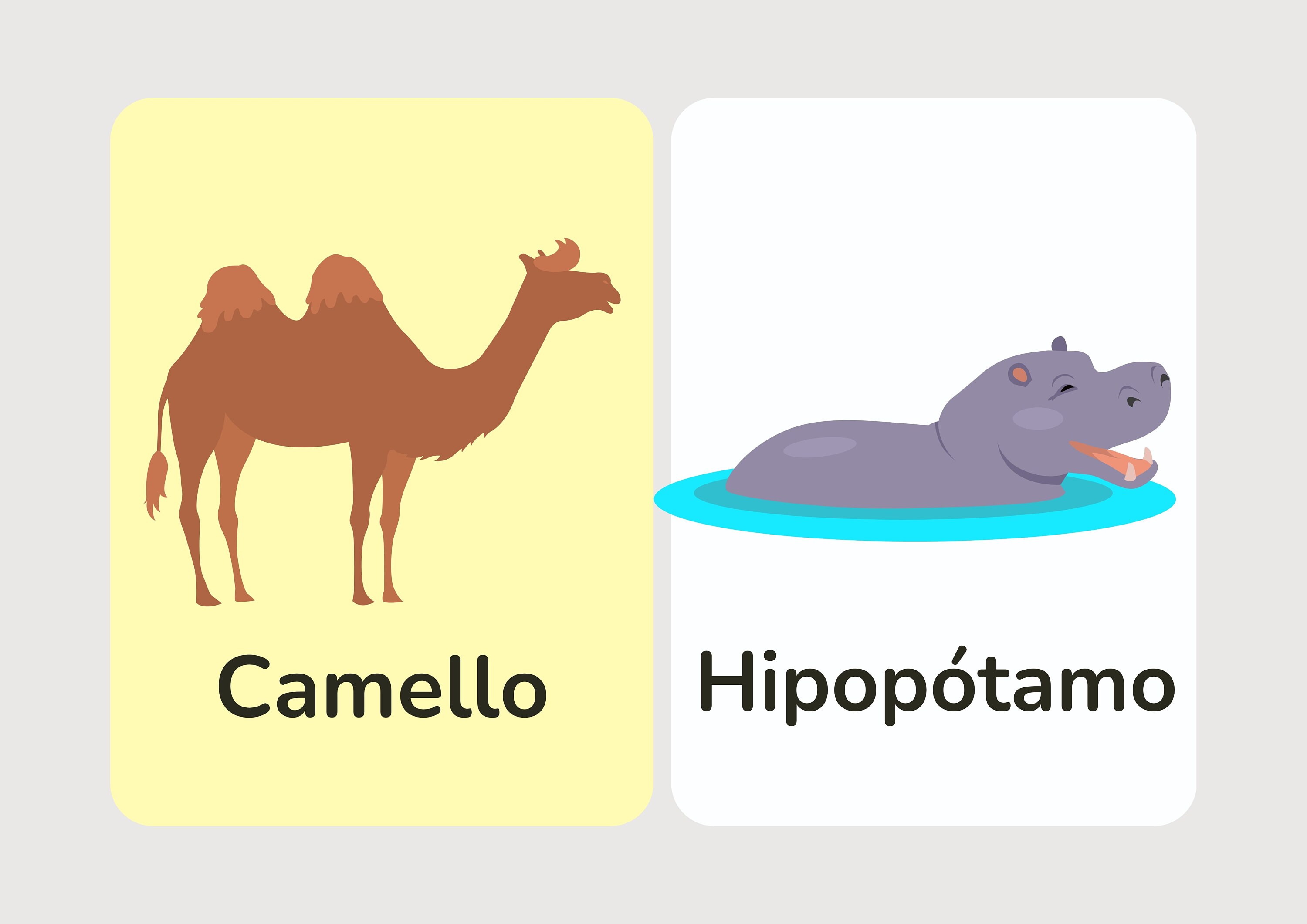 Spanish Wild Animals Flash Cards | Teach Kids Spanish | Bilingual Kids ...